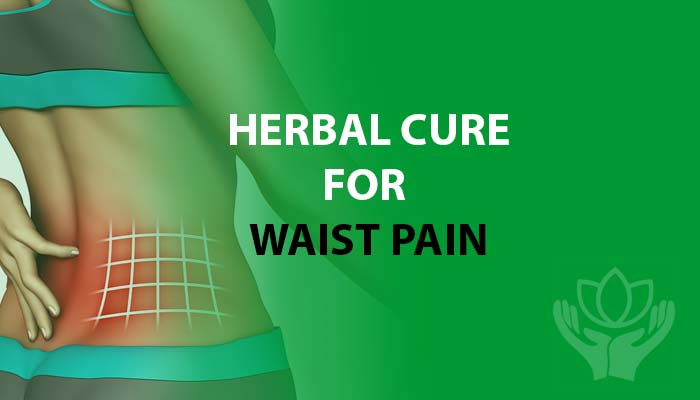 Best Herbal Medicine for Waist Pain - Healing Plants